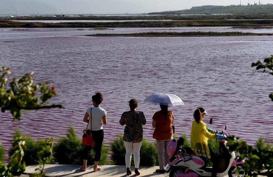 Welcome to Rose Pink River – MEZIESBLOG